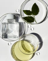 Natural Self Tanner - Botanic Tree