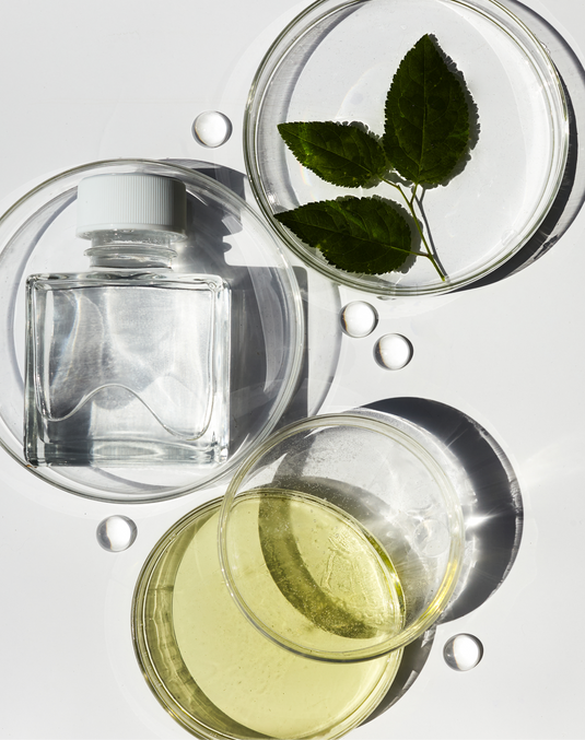 Natural Self Tanner - Botanic Tree